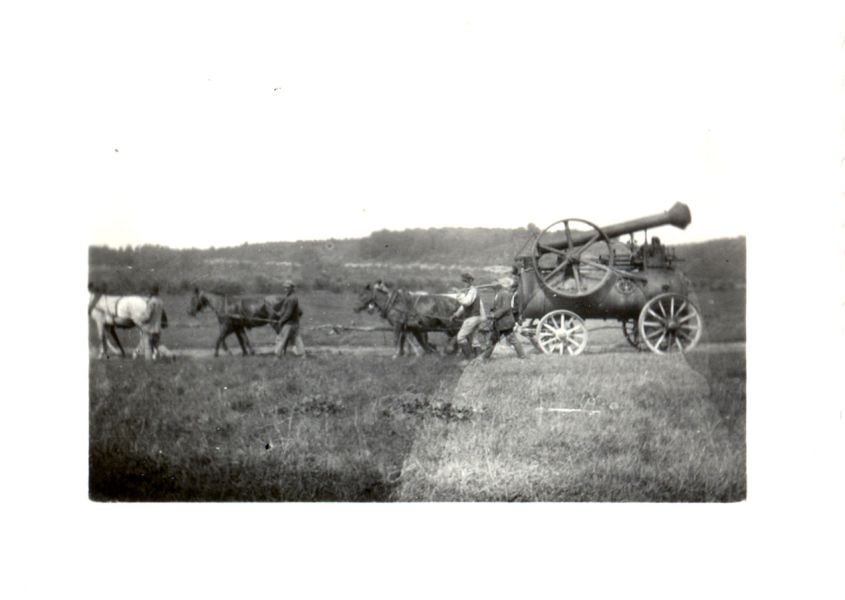 Ładomirscy i Kraińscy