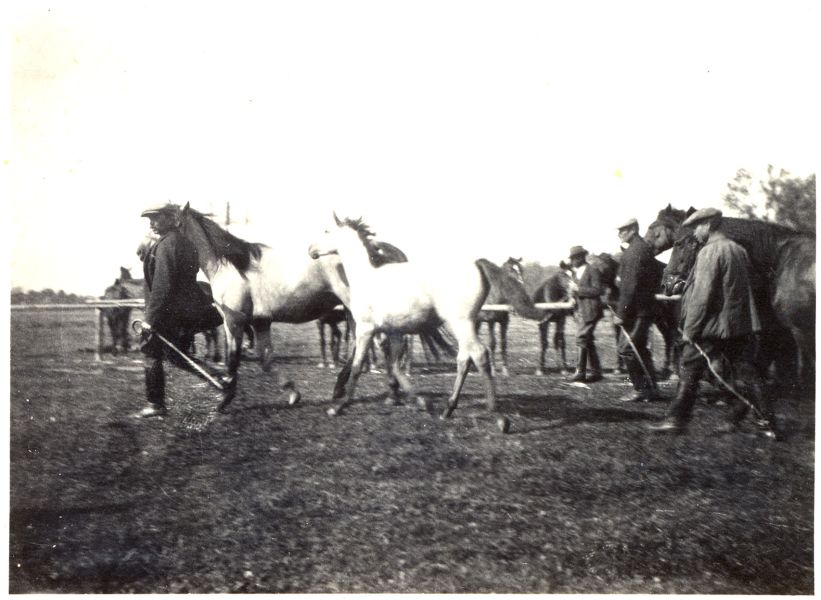 Ładomirscy i Kraińscy