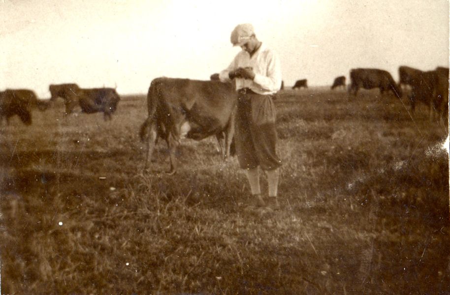 Ładomirscy i Kraińscy